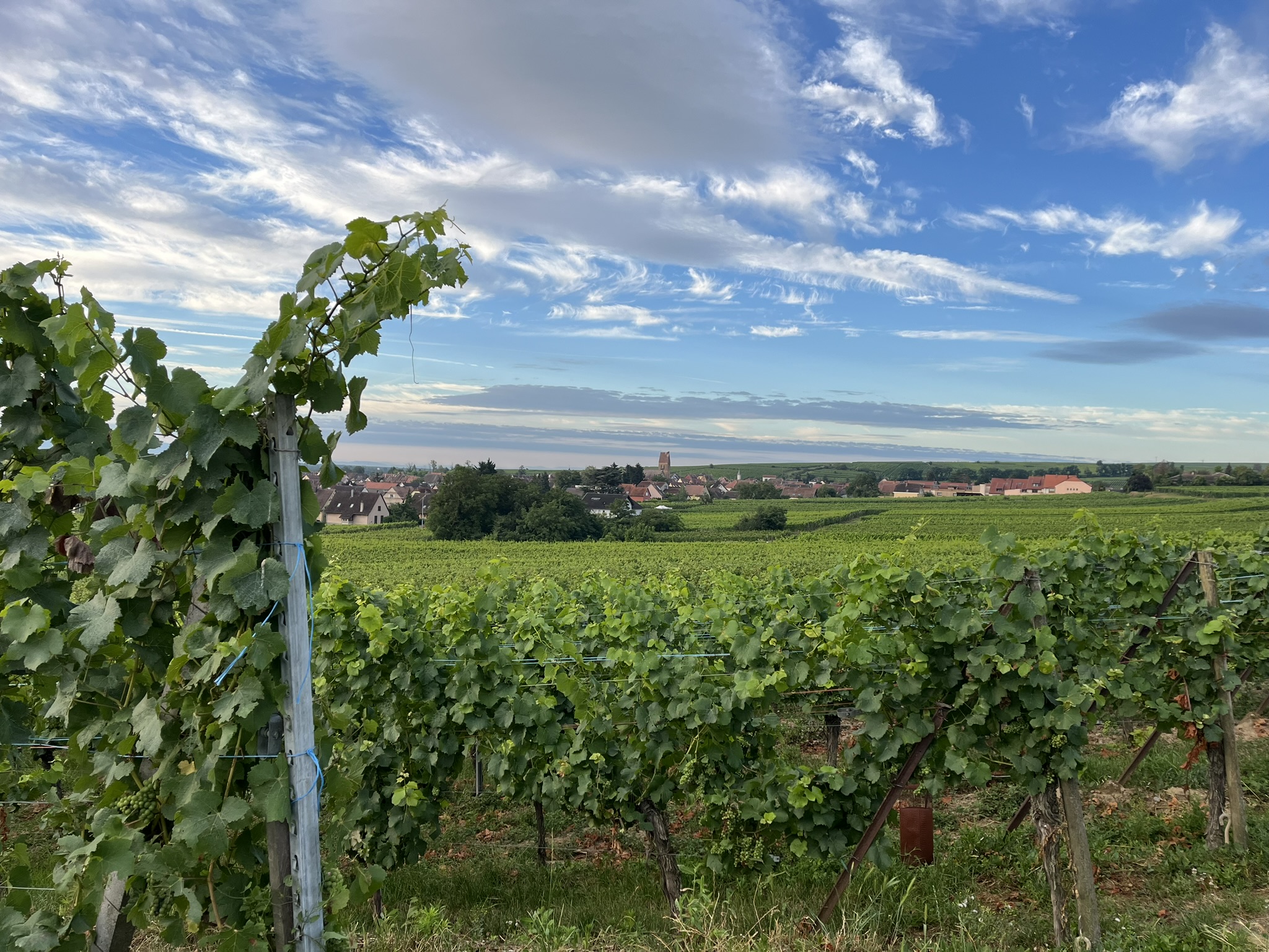 Société d'Histoire et d'Archéologie d'Eguisheim – Informations de la la ...