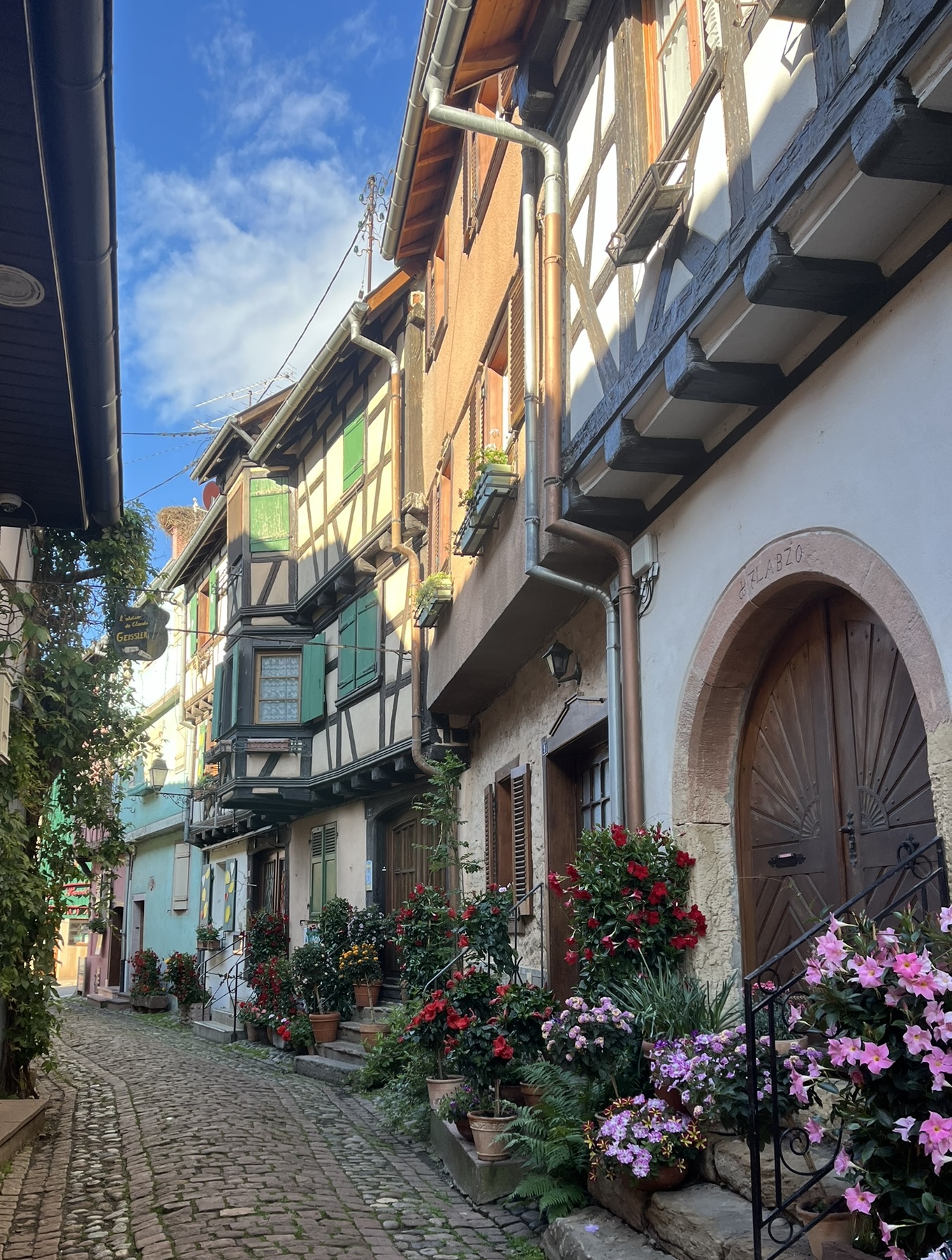 Société d'Histoire et d'Archéologie d'Eguisheim – Informations de la la ...